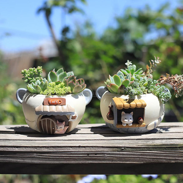 Adorable Resin Succulent Pot – nextdealshop.com