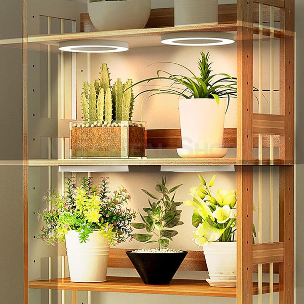 Ceiling Grow Light for Indoor Plants – nextdealshop.com