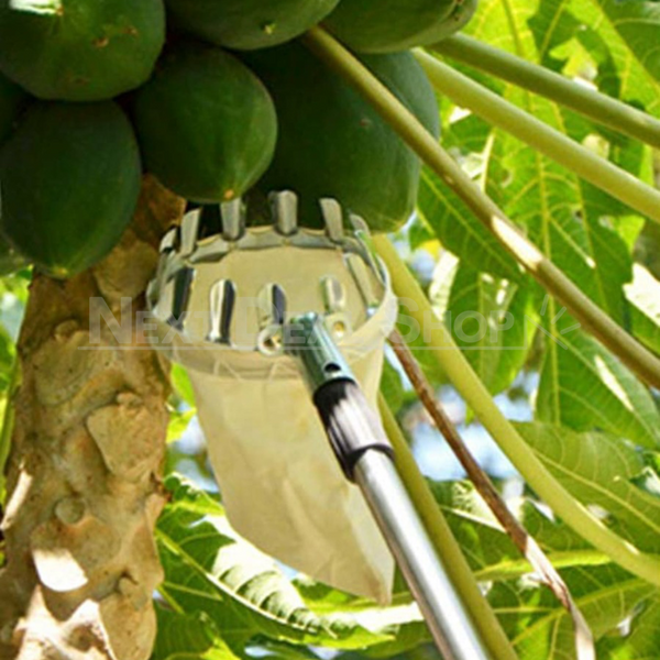 Fruit Picker Head Basket – nextdealshop.com