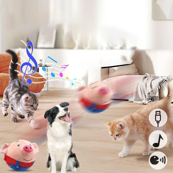 Interactive Moving Plush Toy – nextdealshop.com