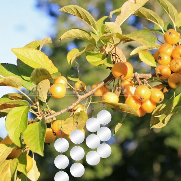 Large 16 Discs - Reflective Bird Repellent Disk – nextdealshop.com