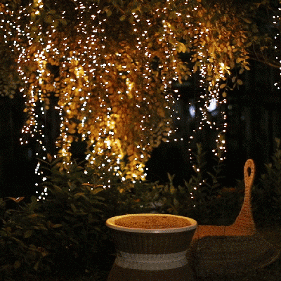 Solar-Powered Firecracker LED String Lights – nextdealshop.com