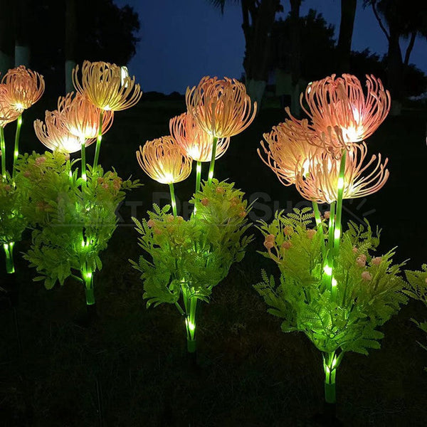 Solar Powered Flower Garden Stake Light – nextdealshop.com