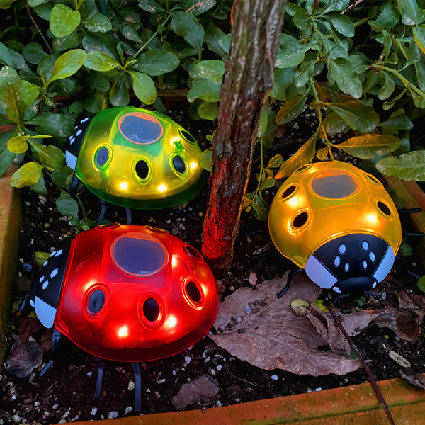 Solar Powered LED Ladybug Garden Light – nextdealshop.com