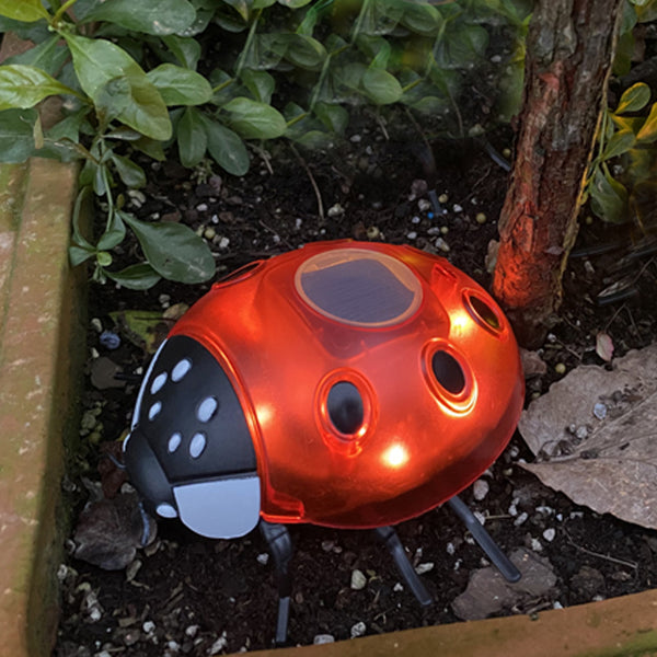 Solar Powered LED Ladybug Garden Light – nextdealshop.com