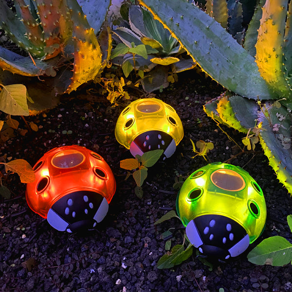 Solar Powered LED Ladybug Garden Light – nextdealshop.com