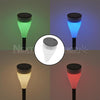 2 in 1 Solar-Powered Color Changing Garden LED Lantern Light ...
