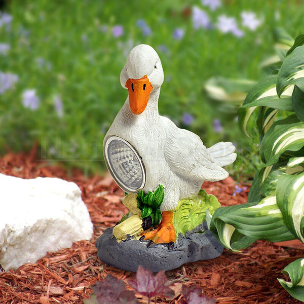 Solar Powered LED Duck Light – nextdealshop.com
