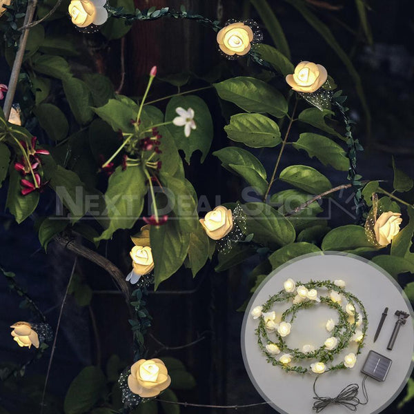Solar-Powered Rose Leaf Lights – nextdealshop.com