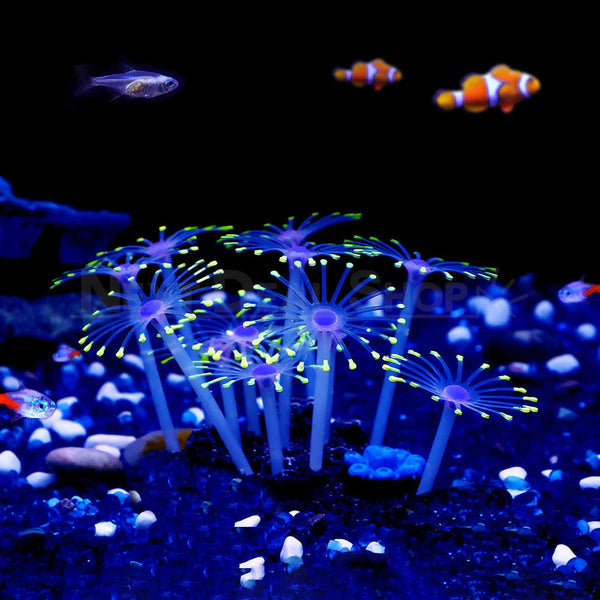 Star Polyps Coral Aquarium Decoration – nextdealshop.com
