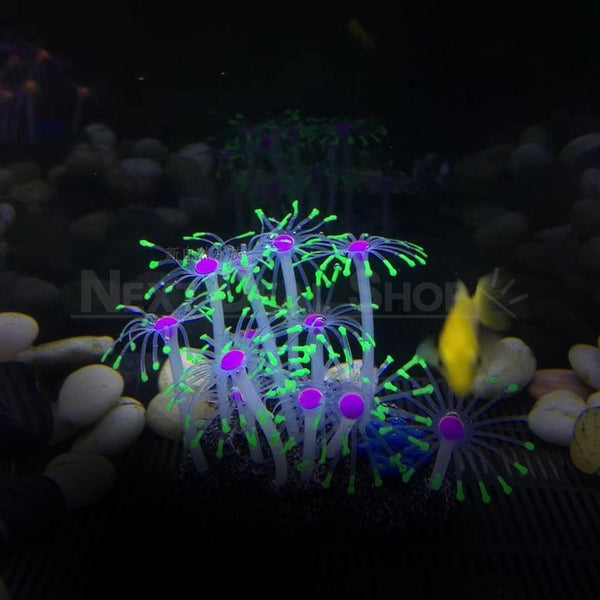 Star Polyps Coral Aquarium Decoration – nextdealshop.com